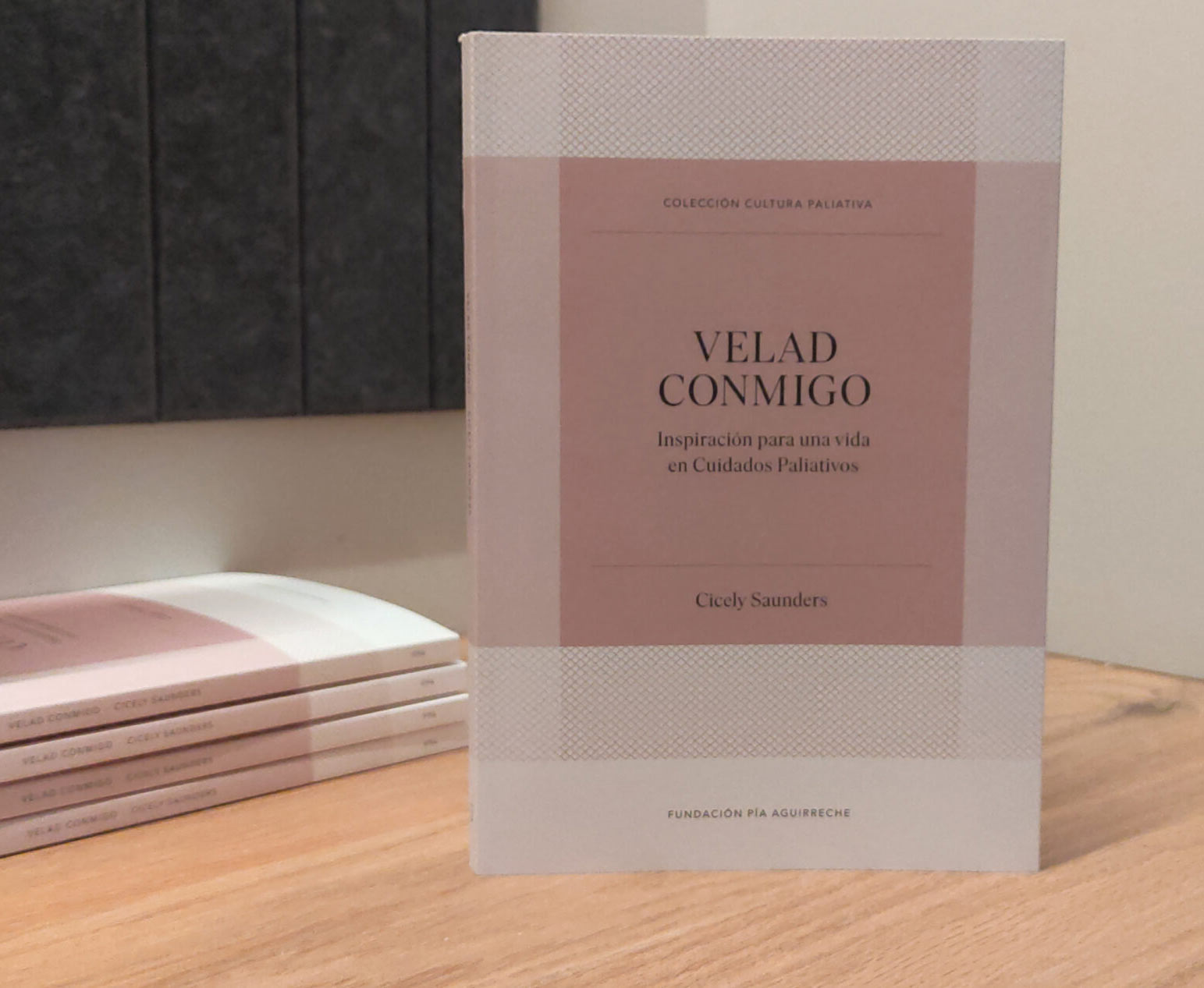 libro-velad-conmigo-fundacion-pia-aguirreche-con-la-fundacion-san ...